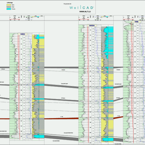 Multi-Well – WellCAD by ALT