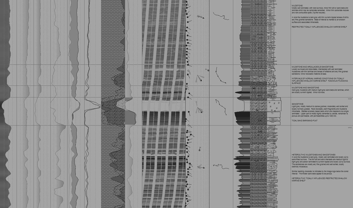 Oil & Gas – WellCAD by ALT
