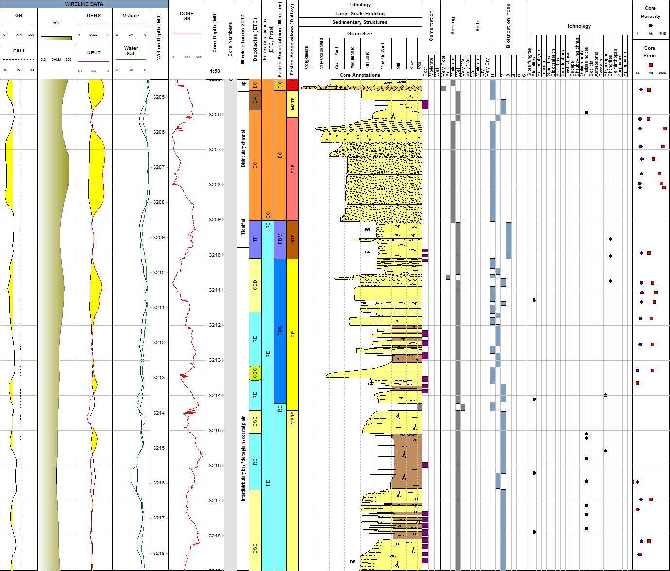 Oil & Gas – WellCAD by ALT