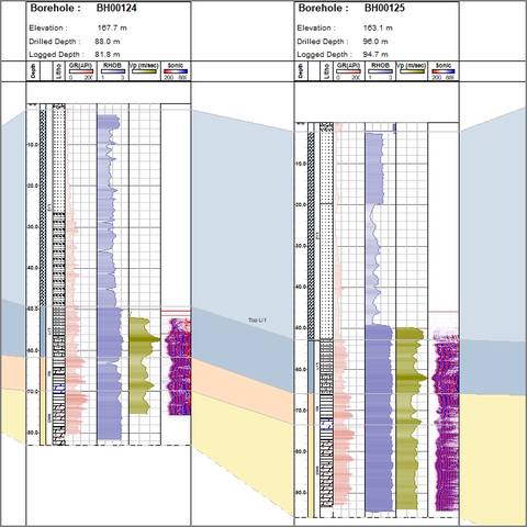Multi-Well – WellCAD by ALT