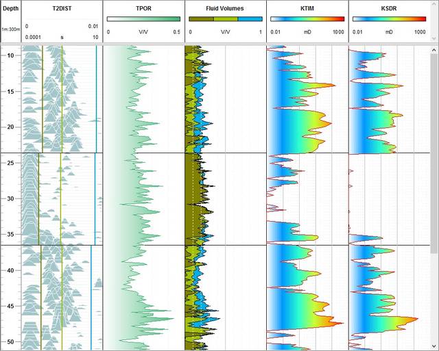 Nmr Data Processing Wellcad By Alt