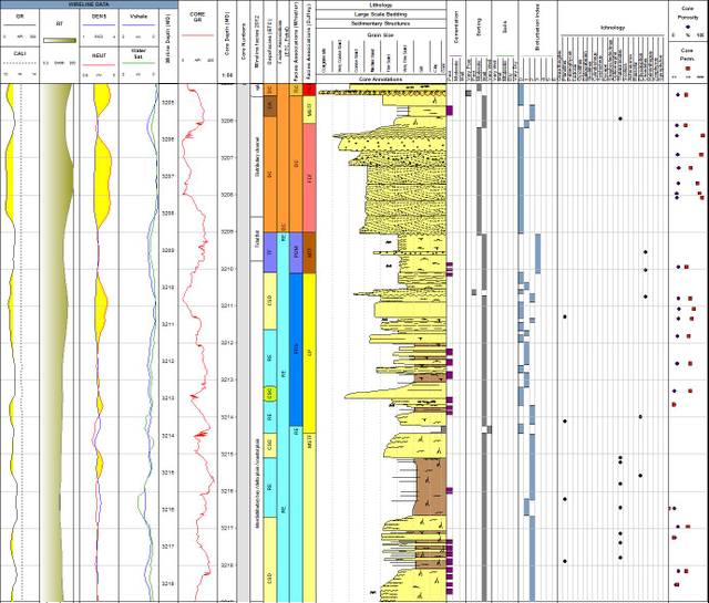 Oil & Gas – WellCAD by ALT
