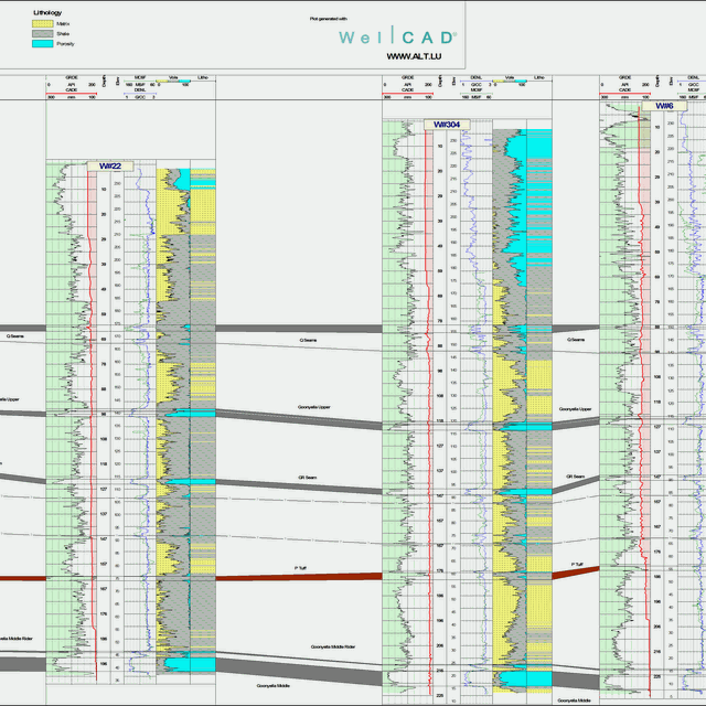 Multi-Well – WellCAD by ALT