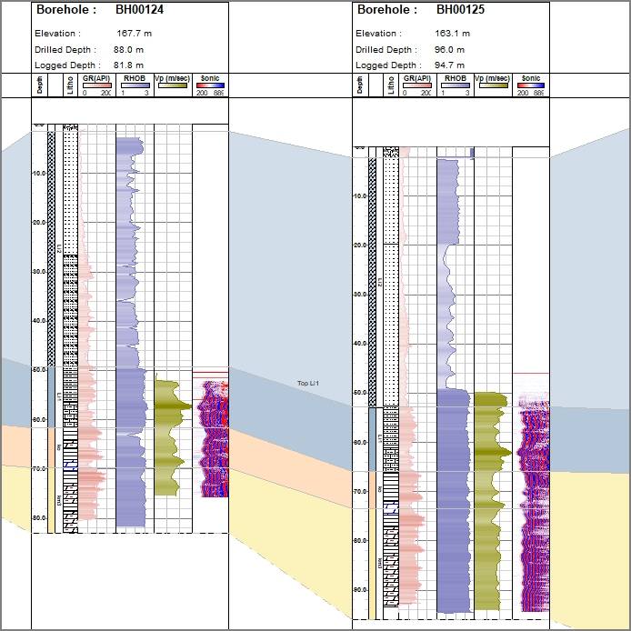 Multi-Well – WellCAD by ALT